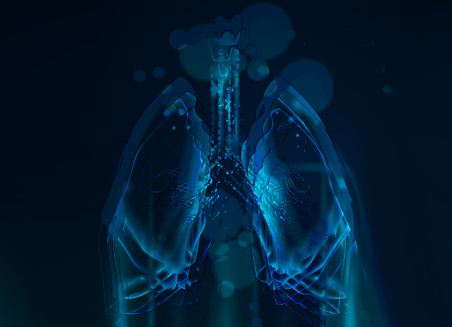 Outsource Anatomy Illustration Services - Flatworld Solutions