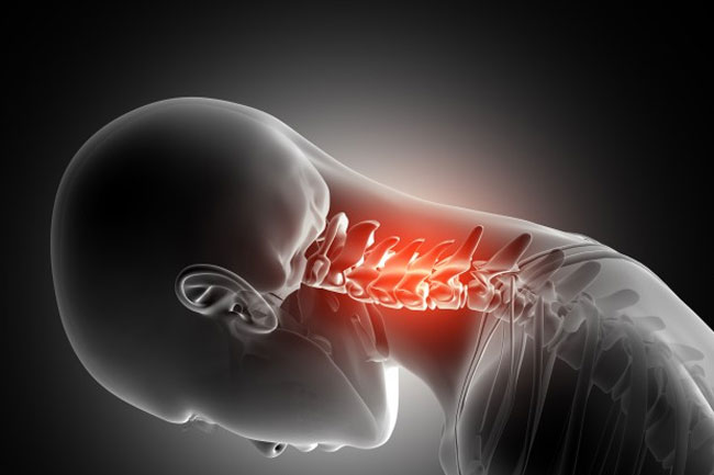 Outsource Medical Illustration Services - Flatworld Solutions