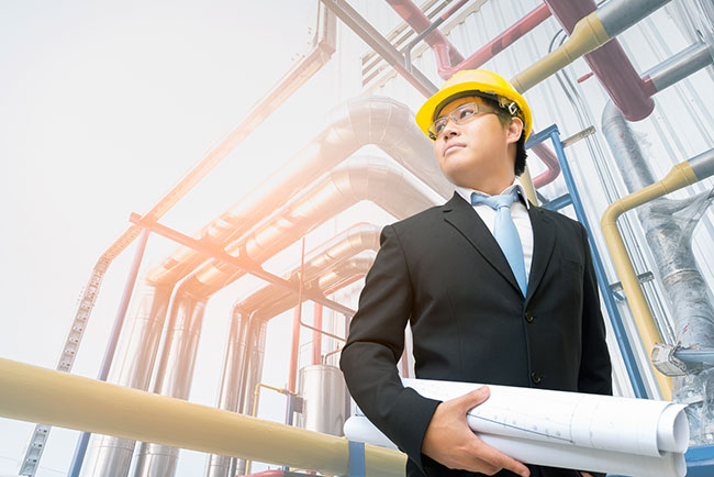 Outsource Plant Design Management System (PDMS) Services - FWS