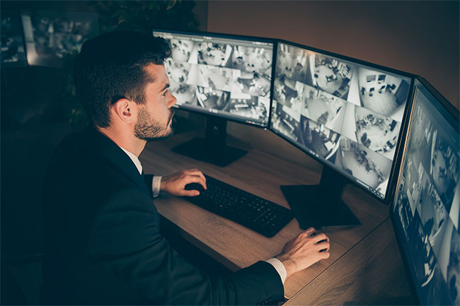 Remote Video Monitoring Services - Flatworld Solutions