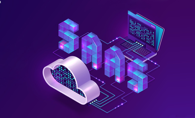 Outsource SAAS Application Development Services - FWS