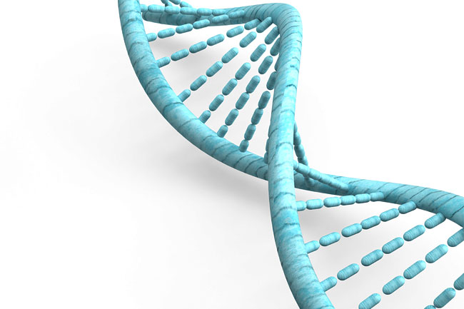 Scientific Illustration Services - Flatworld Solutions