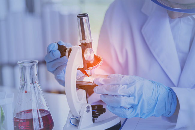 Outsource Scientific Research Support Services - FWS