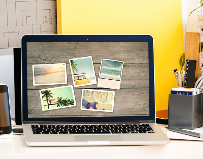 Case Study | Data Collection for Nature Portal - FWS